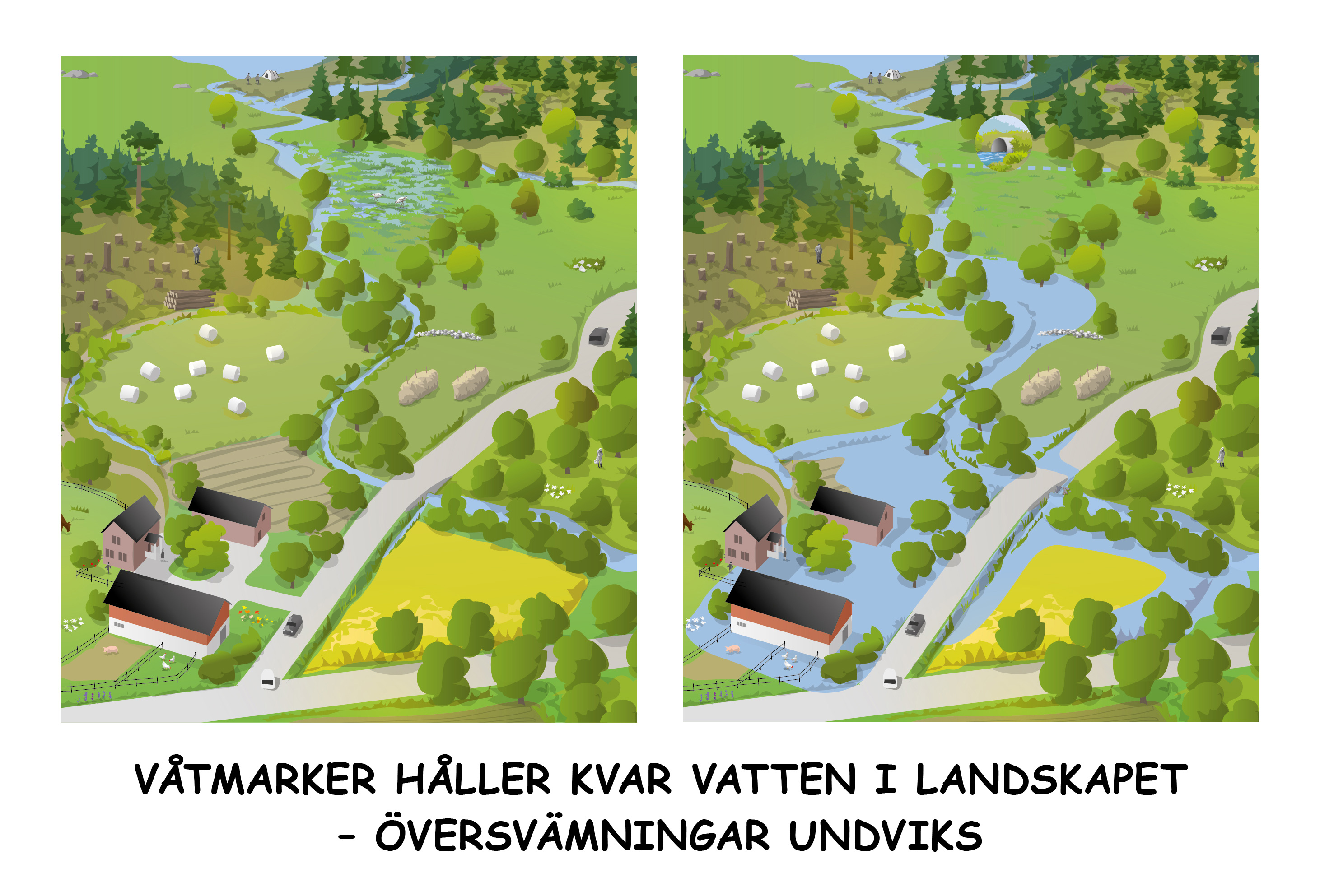 Ekosystemtjänster i vatten och våtmarker – Grön infrastruktur